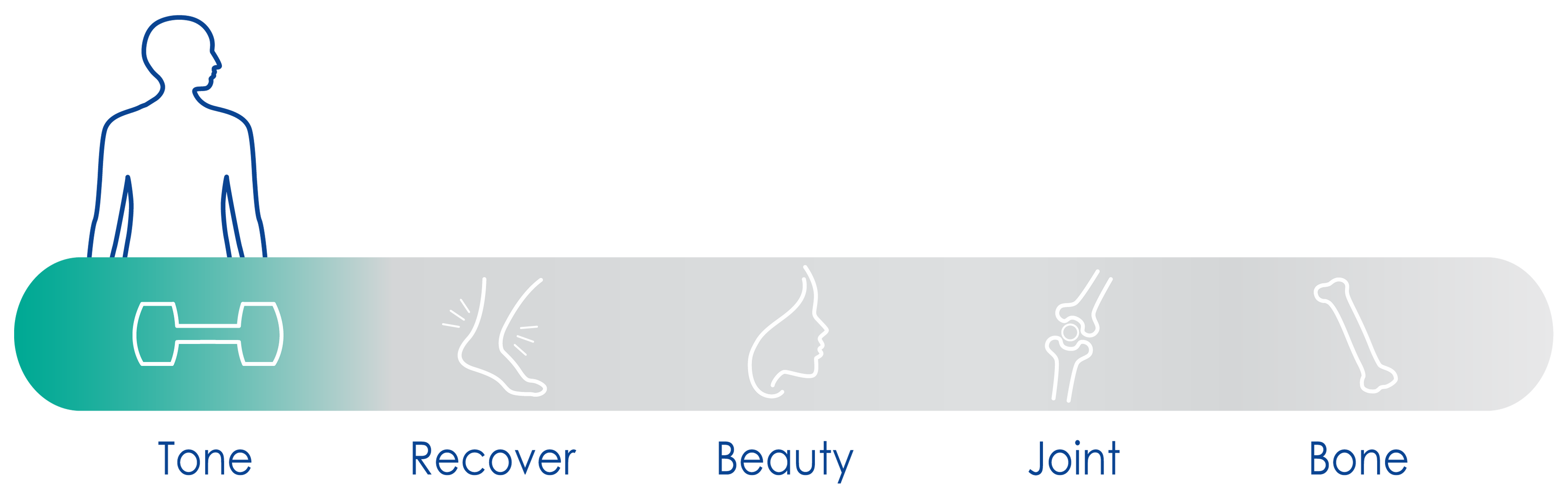 Collagen Muscle Tone - CanPrev Collagen